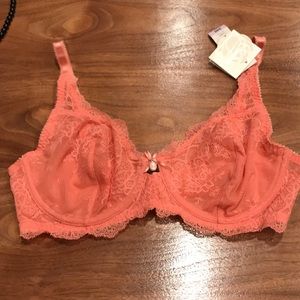 Couture by Cabernet | Intimates & Sleepwear | Nwt Cabernet Underwire ...